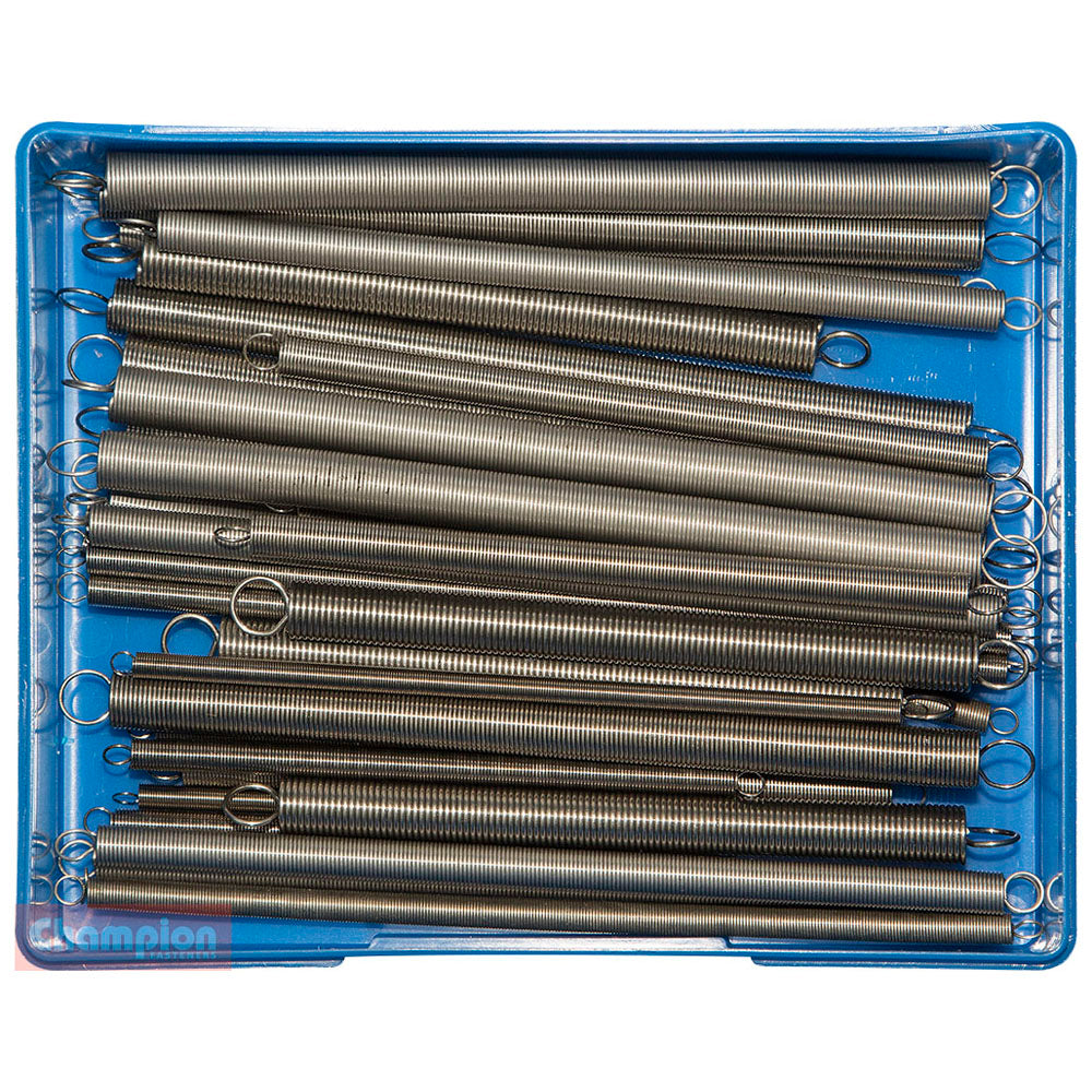 Champion 36pc Accelerator Spring Assortment S/Steel – Engineers Collective