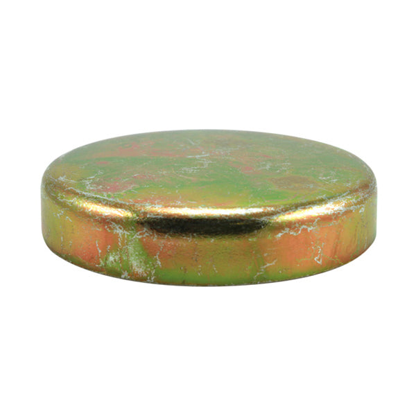 Champion 20mm Steel Expansion (Frost) Plug -Cup Type -5pk – Engineers ...